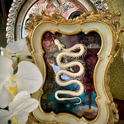 Personalized-mortician's-double-id Toe Tags in Display Frame, Oddity ...