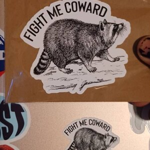 Cinderella Fairy Godmother Sticker Bibbidi Bobbidi Boo - Etsy