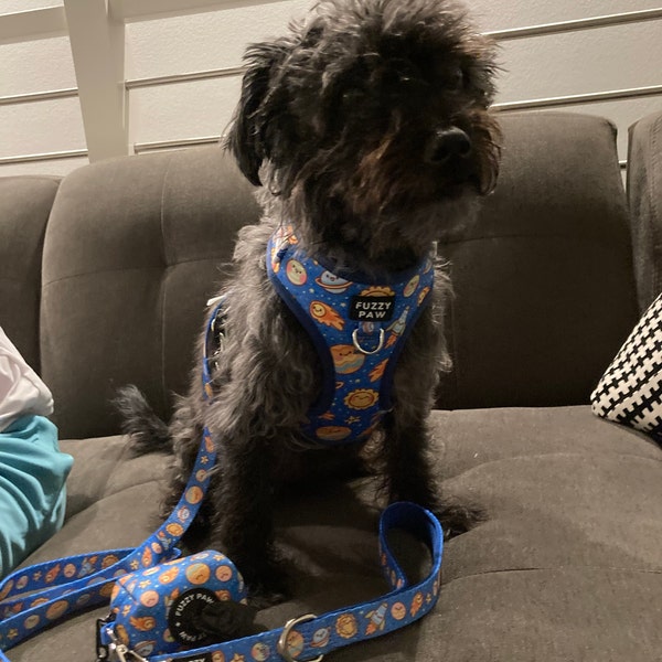 Basic Bundle - Cute Stellar Space Dog Harness Bundle Set With Leash ...