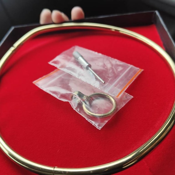 6mm Curved Rolled Steel Rose Gold Collar With Matching Removable Ring ...