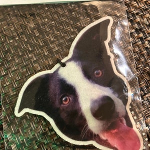 Funny Air Freshener Flaming Eye Freshener Cute Air - Etsy