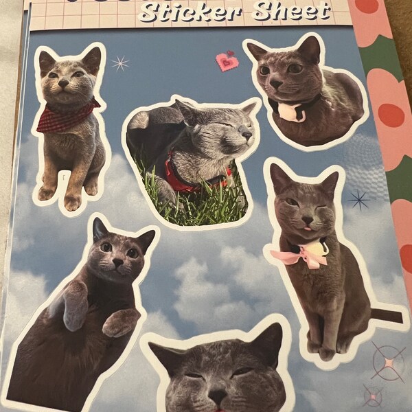 Cat Meme Bumper Sticker and Funny Bumper Magnet Gen Z, Cat Car Sticker ...