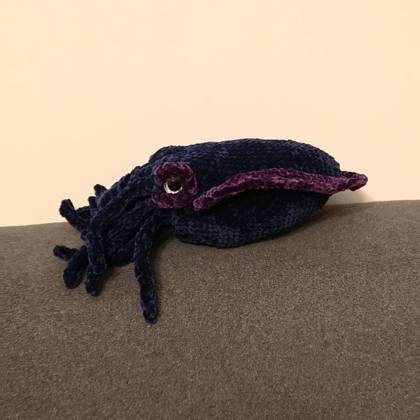 PATTERN ONLY Rainbow Cuttlefish Amigurumi Crochet - Etsy
