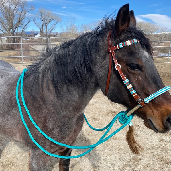 Complete Teal Bosal Bitless Bridle Set Rawhide Bosal and Teal Mecate ...