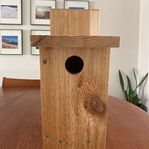 Northern Flicker Nest Box - Etsy
