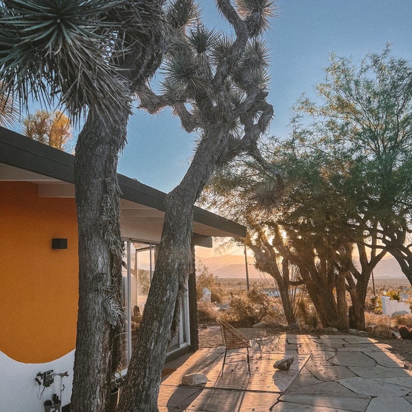 Wedding Film Presets for Lightroom Rich Brown Presets Muted Tones ...