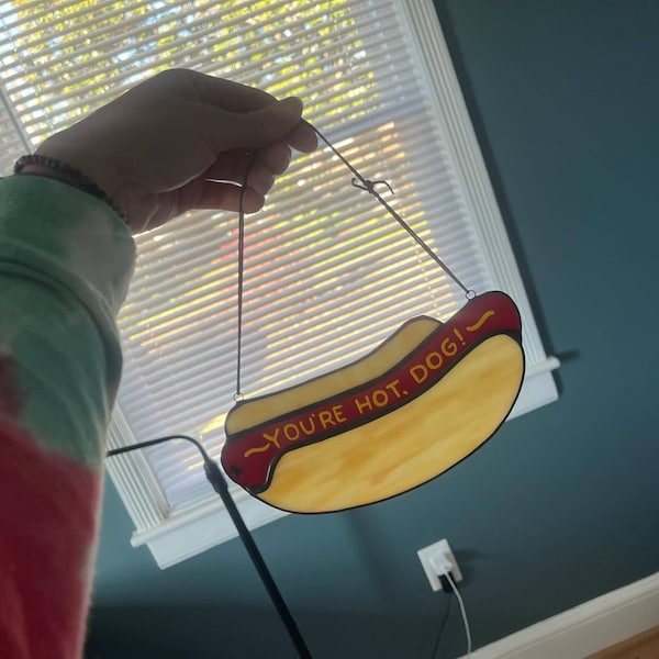 Beveled Air Plant Dangler- Hanging Prism Rainbow Maker! - Stained Glass ...