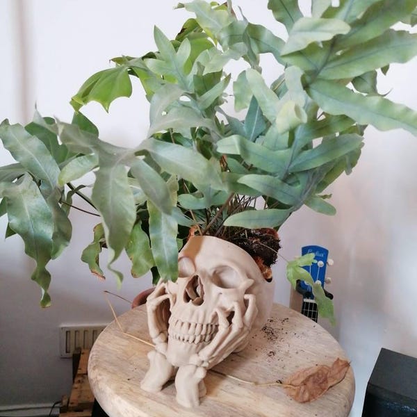 Happy Skull Horror Planter - Unique Plant Pot, Witchy/goth Decor ...