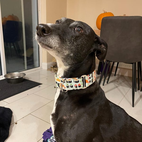 I Am Enough Dog and Cat Collar Funny Collar Custom Collar - Etsy