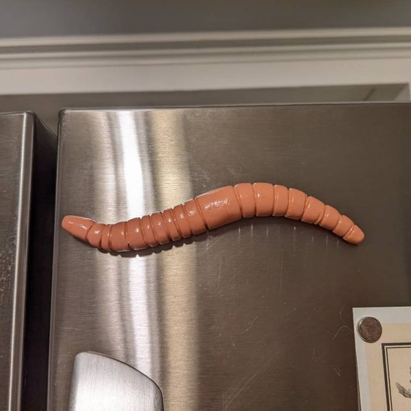 Worm Magnet, Polymer Clay Magnet, Pink Worm - Etsy