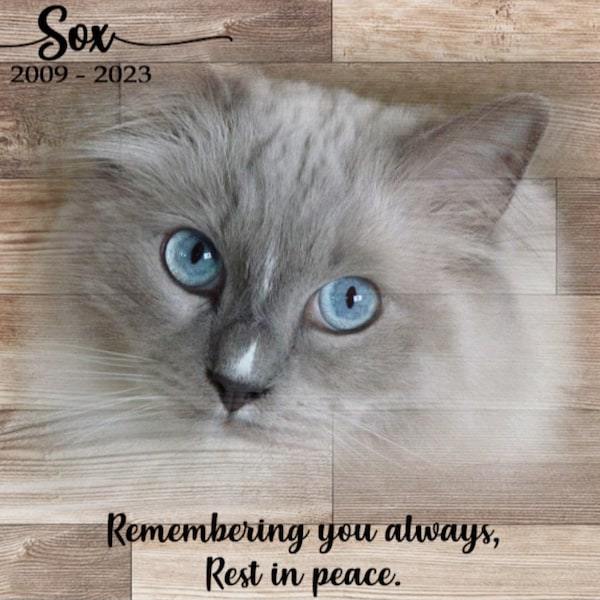 Cat Memorial Personalized Cat Memorial Loss of Pet Cat Pet Memorial ...