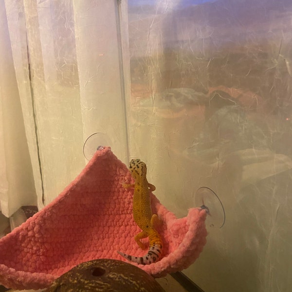 Leopard Gecko Hammock, Small Reptile Hanging Hammock Ledge, Crochet ...