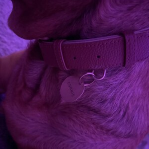 LINUS: Hand Stamped Personalized Custom Pet ID Tags for Dogs - Etsy