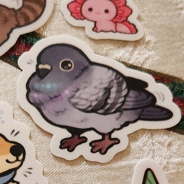 Fluffy Pigeon Sticker / Bird Water Bottle Sticker / Cute Bird Laptop ...