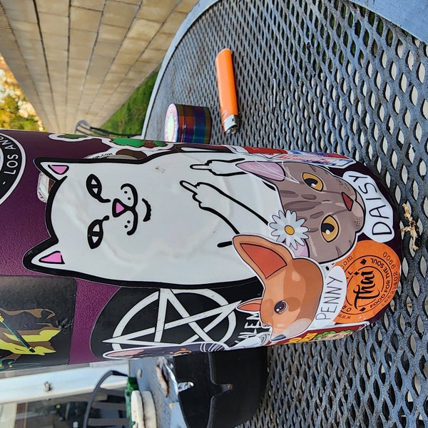 VALORANT Raze Cat Spray Waterproof Holographic Vinyl Sticker - Etsy