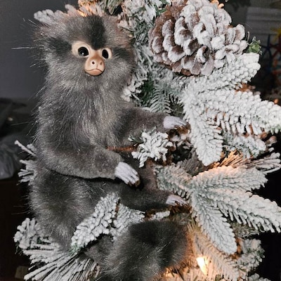 Made to Order Marmoset Monkey Realistic Stuffed Toy - Etsy