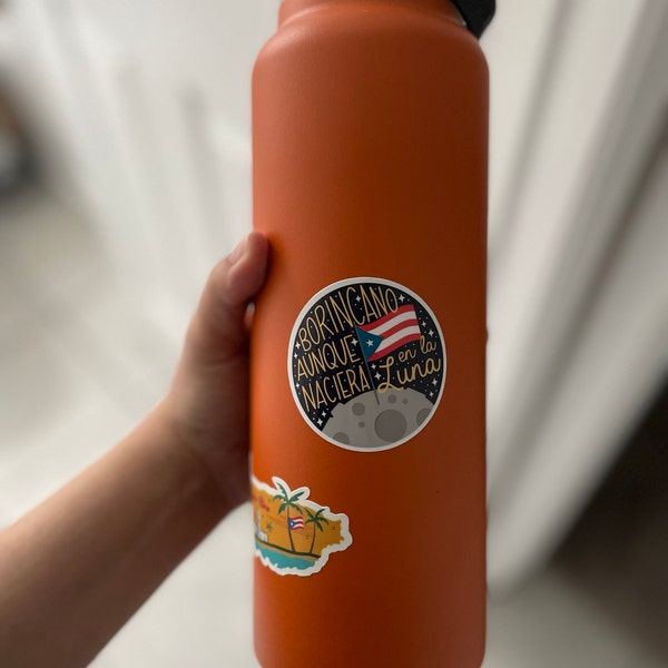 Puerto Rico Seasoning Sticker Pack Sazon Sticker Adobo Sticker Puerto ...