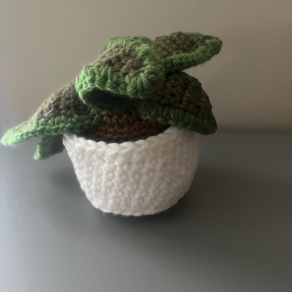 Crocheted Trophy Fish Wall Decor - Fisherman Gift - Etsy