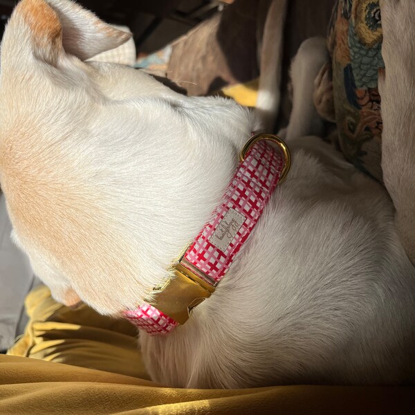 Pink Dog Leash, Herringbone Dog Leash, Girl Dog Leash, 6 Ft Pet Leash ...