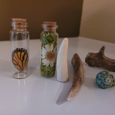 Curiosities Mystery Box, Curio Cabinet Starter Collection, Oddities and ...