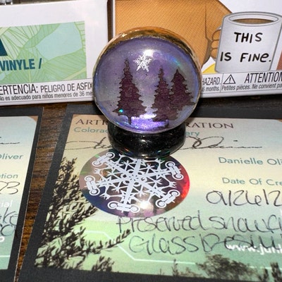 Real Snowflake Preserved Artist Danielle Oliver Captured Real Snowflake ...