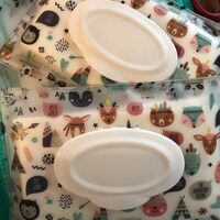 Wet Wipes Mini Pouch Baby Travel Mini Wipe Case Mini Wet Wipe Dispenser ...