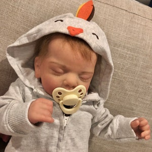 Birds Honeybug KIT Makes 12 Magnetic Pacifiers for REBORN | Etsy