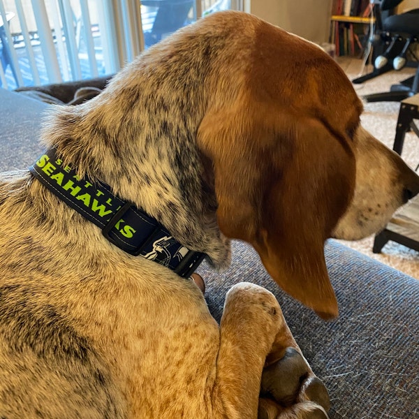 Seattle Seahawks Dog Collar - Etsy
