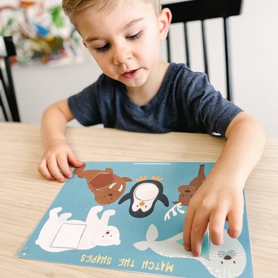 Arctic Animals Busy Book, Polar Animals Busy Binder, Learning Binder ...