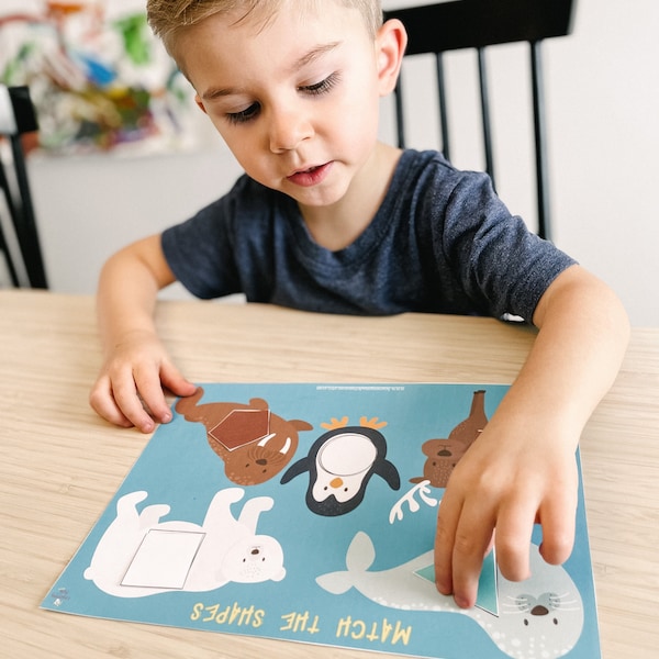 Arctic Animals Busy Book, Polar Animals Busy Binder, Learning Binder ...
