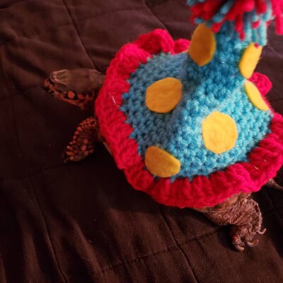 Birthday Hat Costume for Turtles/tortoises - Etsy
