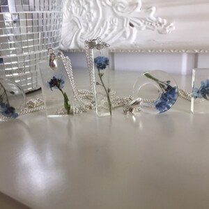 Forget-Me-Nots 24 piece pack | Etsy