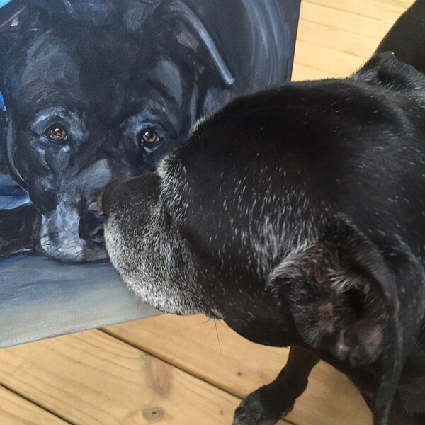 Custom Graphite Pet Portrait 8x10 - Etsy