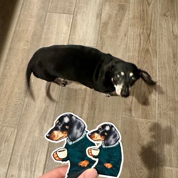 Iron on Patch Sew on Patch Crow DIY Patches Heat on Patch Embroidered ...