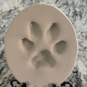 Center Post Base Display Stand for Shells and Other Hollow | Etsy