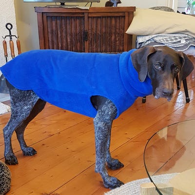 Dog Fleece Polo PDF Sewing Pattern Sizes XXS to 3XL 8 Sizes Instant ...