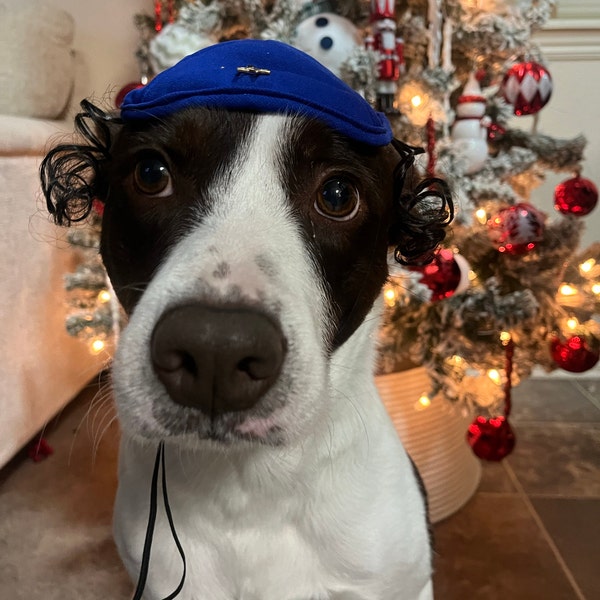 Handmade Hanukkah Pet Hat With Star – Dog Kippah Yarmulke - Etsy