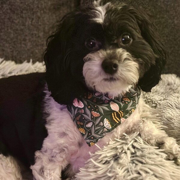 St Patricks Day Dog Bandana Clover Dog Bandana Green Dog Shamrock ...