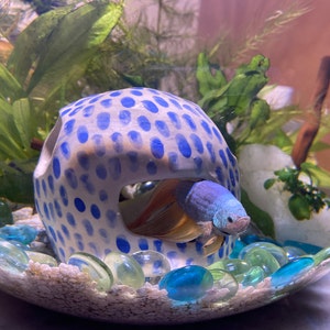 Ceramic Pointed Fish Cave MADE TO ORDER Aquarium Decoration | Etsy