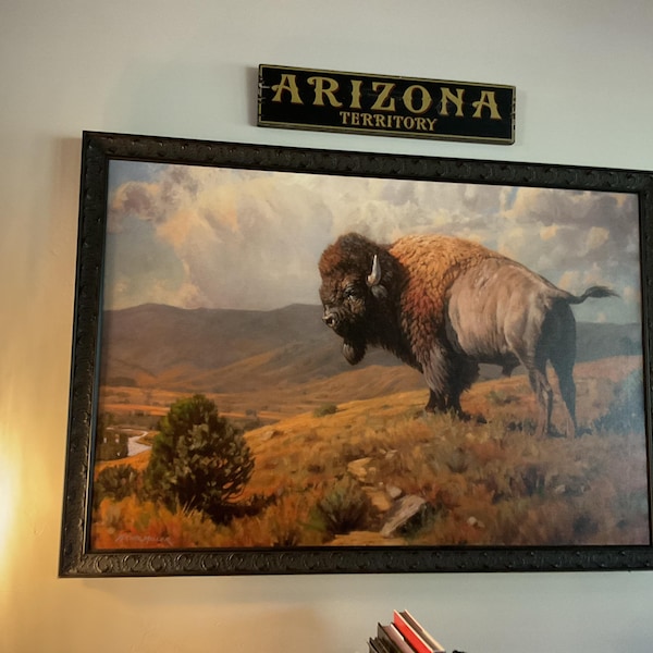 Distressed Arizona Territory Sign, Rustic Wooden Wall Decor - Etsy