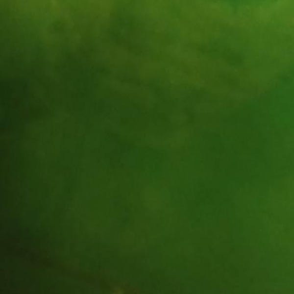 Personalized Winnie the Pooh Tigger Cartoon Leather Bag Handbag,tigger ...