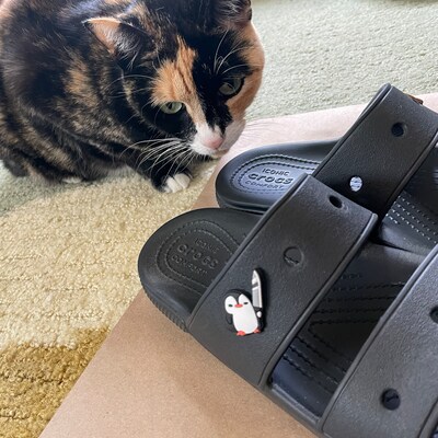 Croissant Croc Charm - Etsy