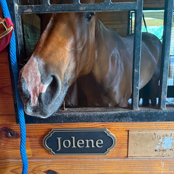 Rat Room Sign Yard Signs Riding School Stable Name Plate Sign Stable ...