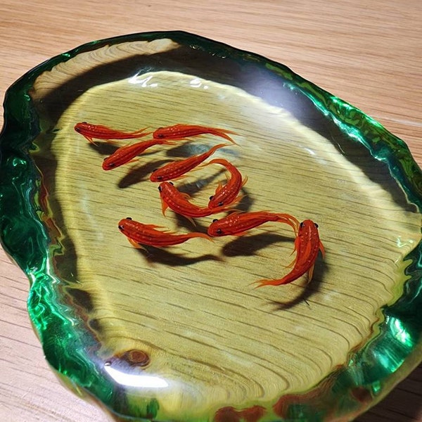 5'' 3D Resin Painting Koi/goldfish Aquarium, Coconut Husk Aquarium, 3D ...