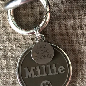 Microchip Dog Tag Microchipped Dog Tag Custom Dog Tag - Etsy