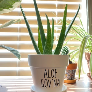 Aloe Govna Funny Plant Pot Plant Pun Plant Holder Funny - Etsy