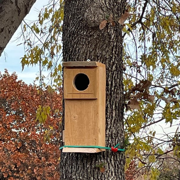 Owl Nesting Box Handmade - Etsy