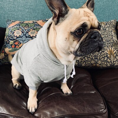 Red Dog Hoodie Red Dog Sweater Red Dog Jumper Dog/puppy - Etsy