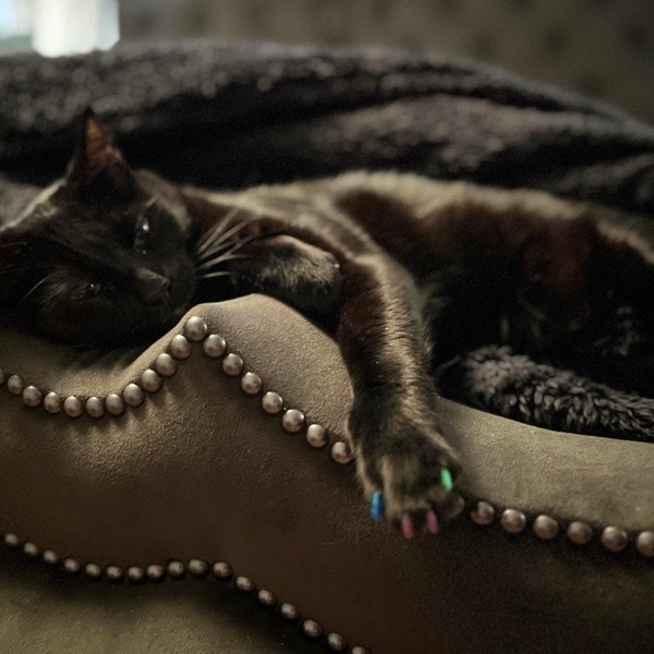 Custom Upholstered Tufted Wall Panels: Banquette Seating System - Etsy