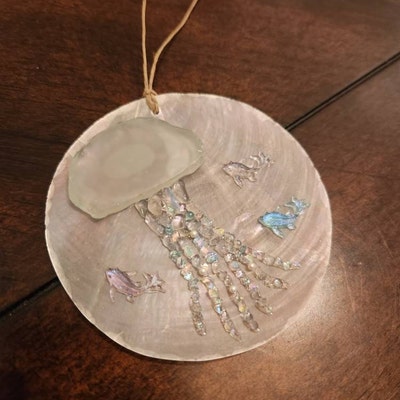 Capiz Shells, Seashells, Shells, Beach Decor Home Decor, Craft Shells ...